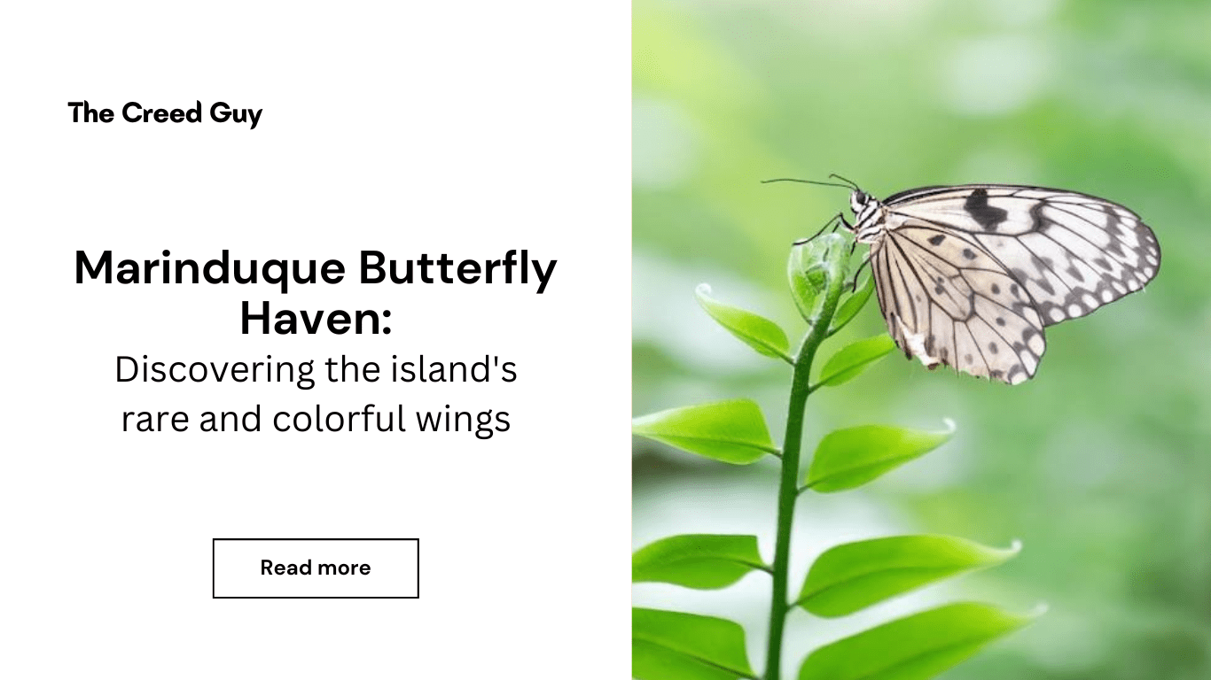 Marinduque Butterfly Haven: Discovering the Island’s Rare and Colorful ...